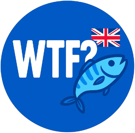 Sea Fishing in Cardiff, Cardiff | Where's The Fish?